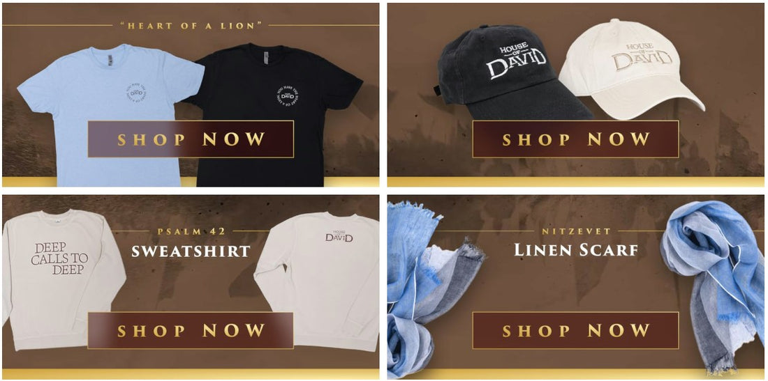 HOUSE OF DAVID – Catalyst Movies